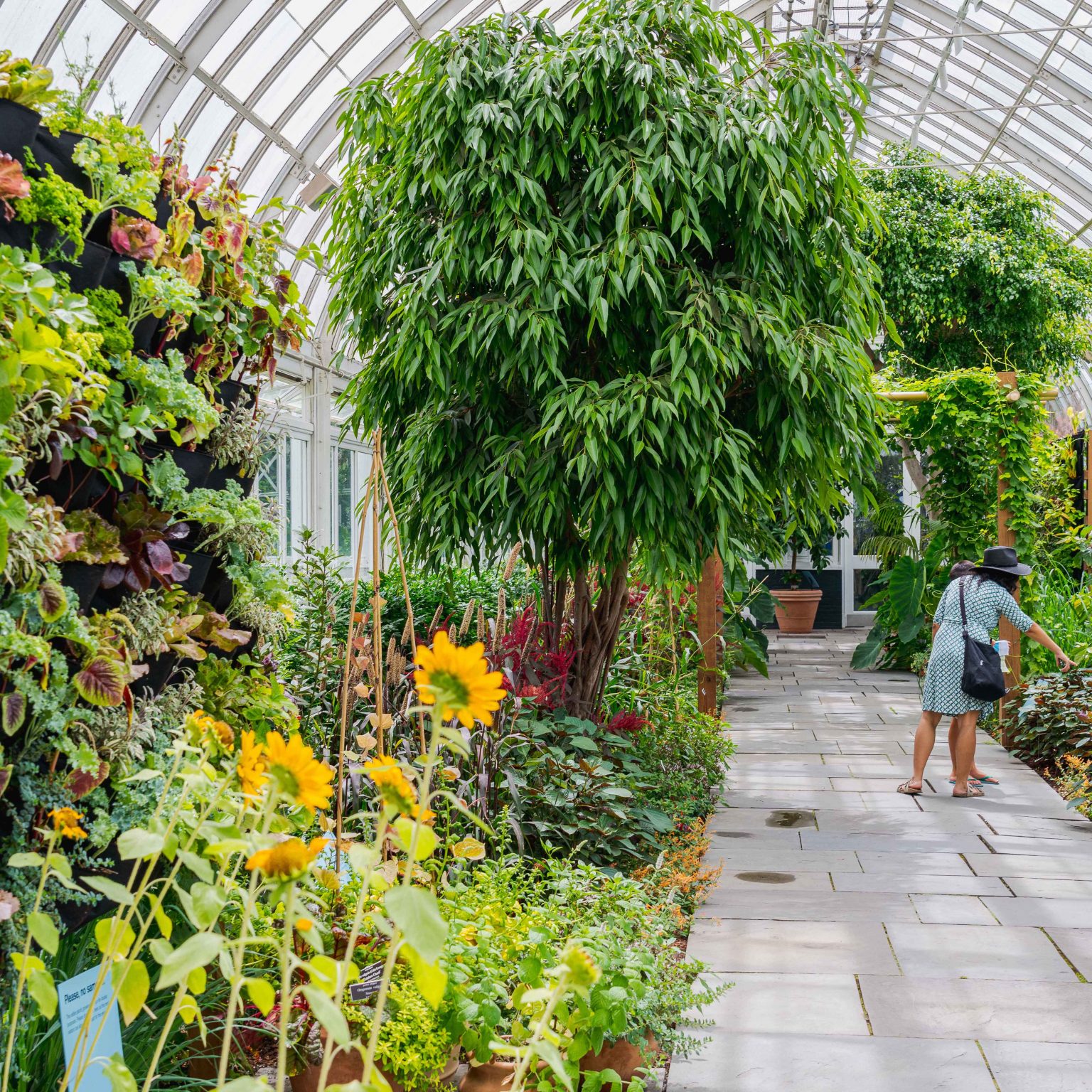 Interactive Map & Mobile Guide | New York Botanical Garden