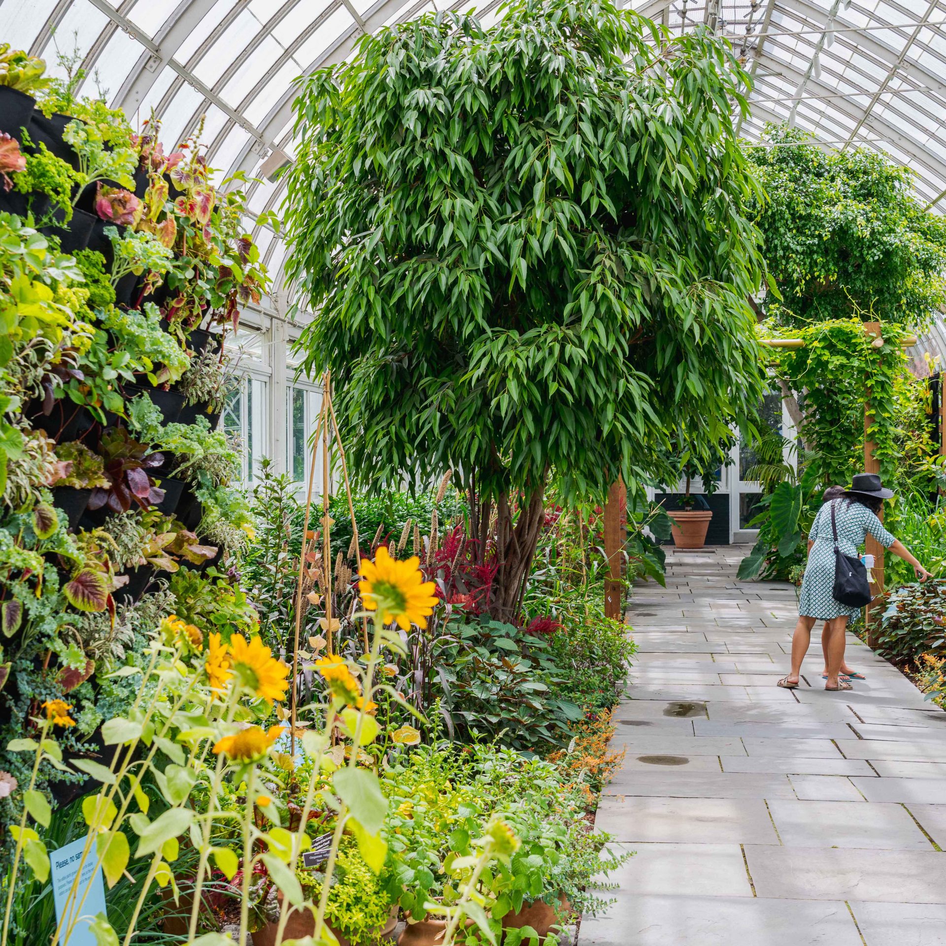 Interactive Map & Mobile Guide | New York Botanical Garden