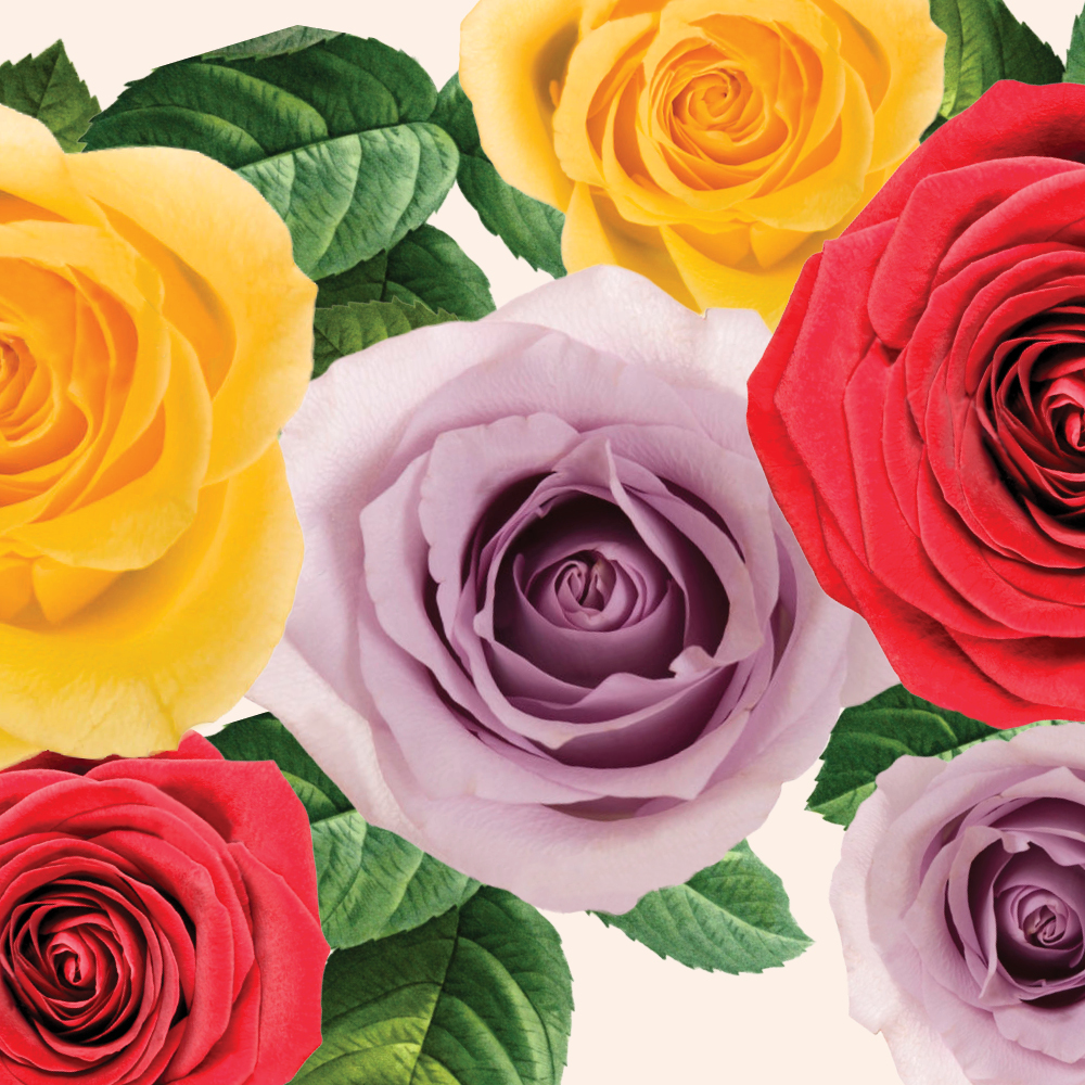 Special Events | New York Botanical Garden