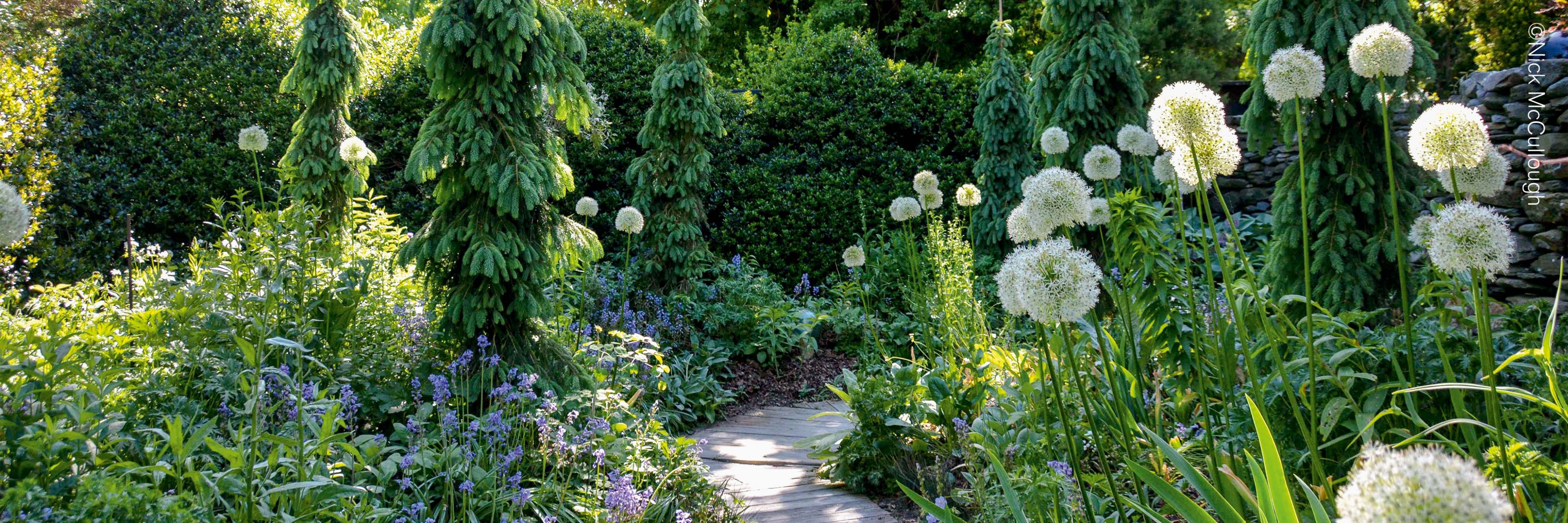 2022–23 Landscape Design Students & Alumni Series | New York Botanical ...