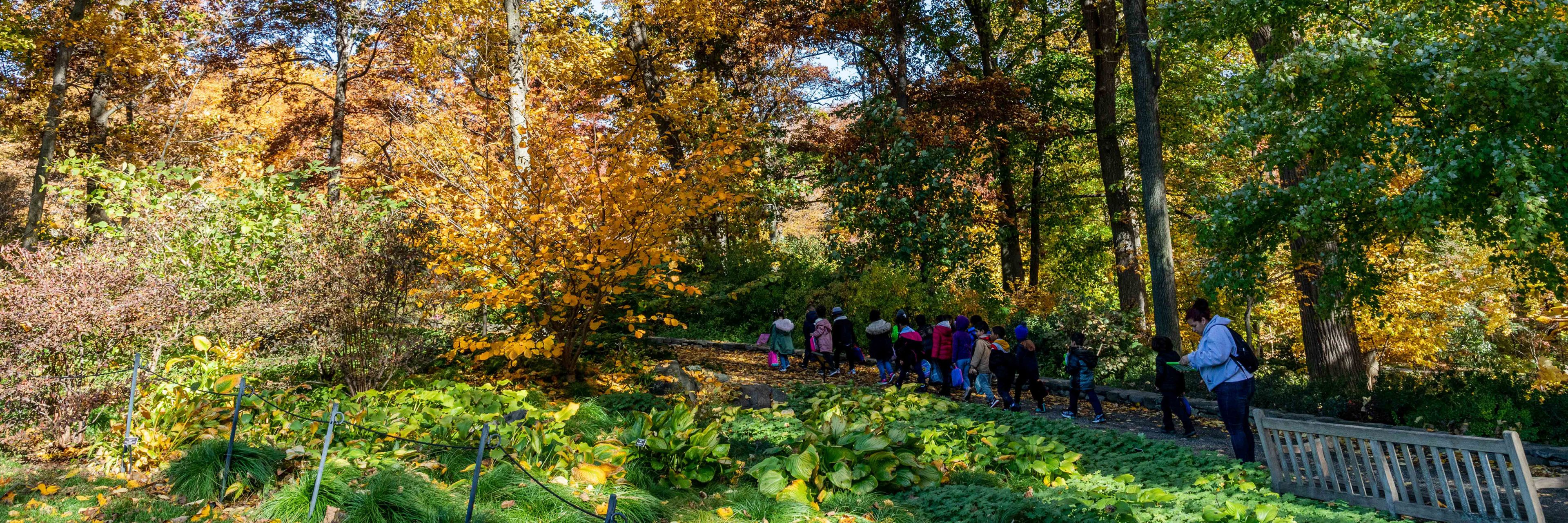 Poet-Tree at the Everett Children’s Adventure Garden | New York ...