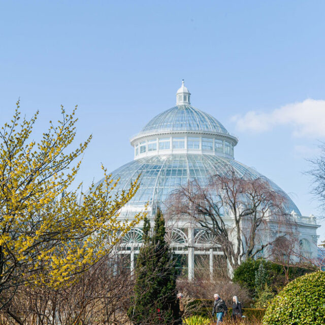 What's On | New York Botanical Garden
