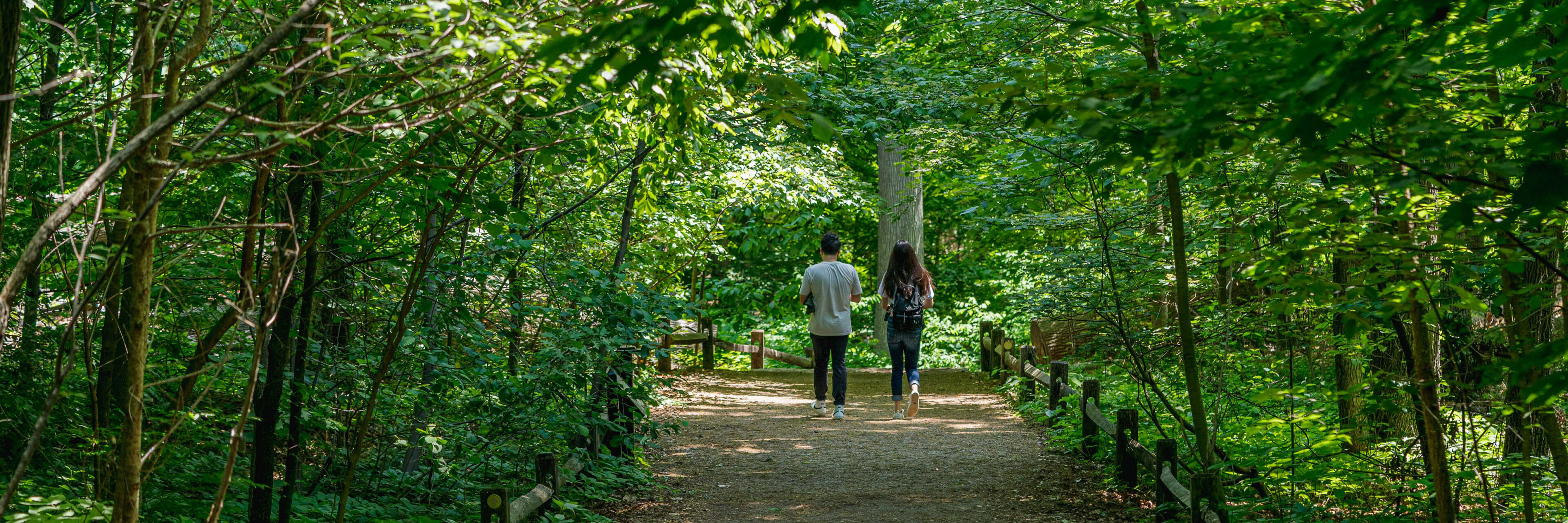 Native Forest with Chenae Bullock » New York Botanical Garden