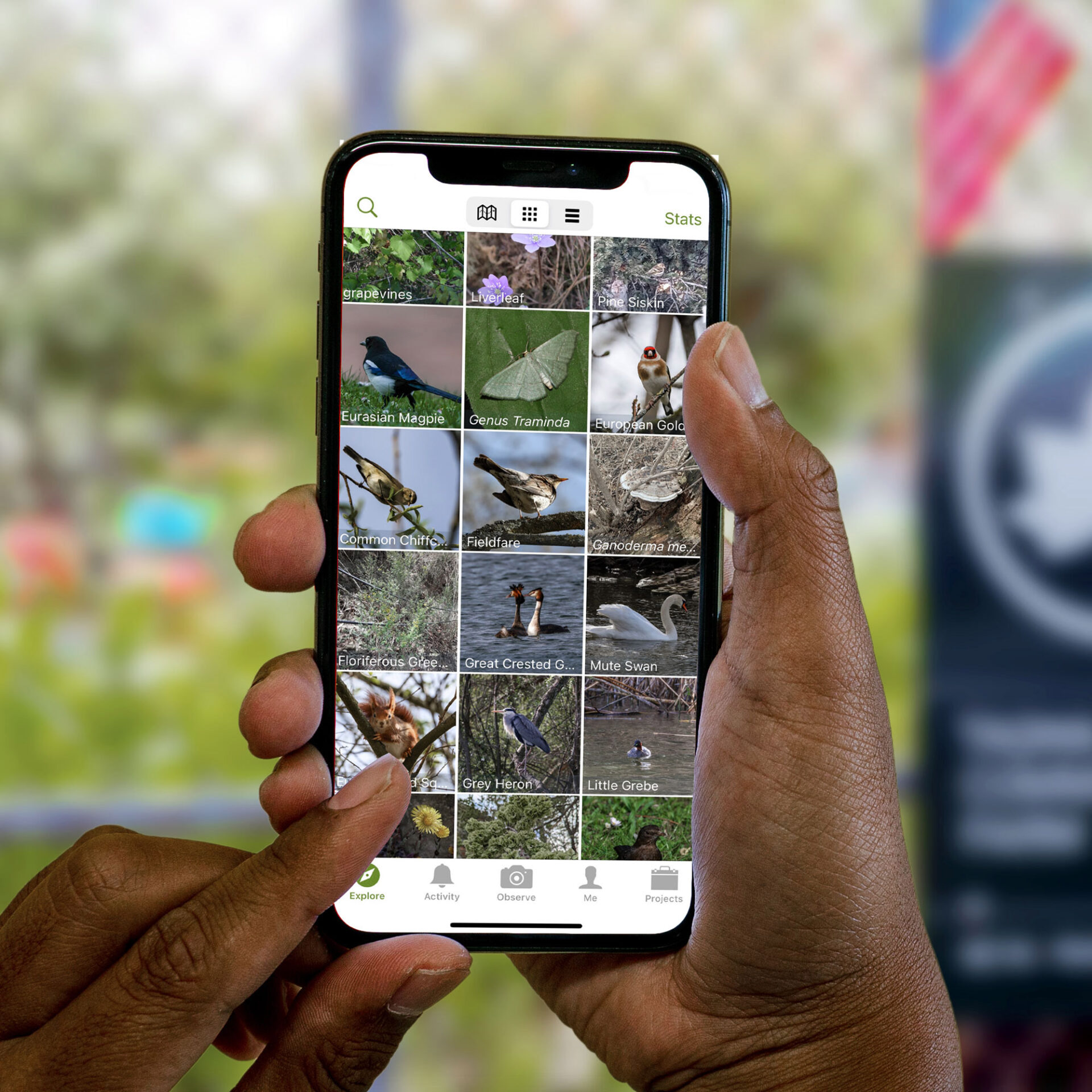 EcoQuest Challenge Archive 2023 | New York Botanical Garden