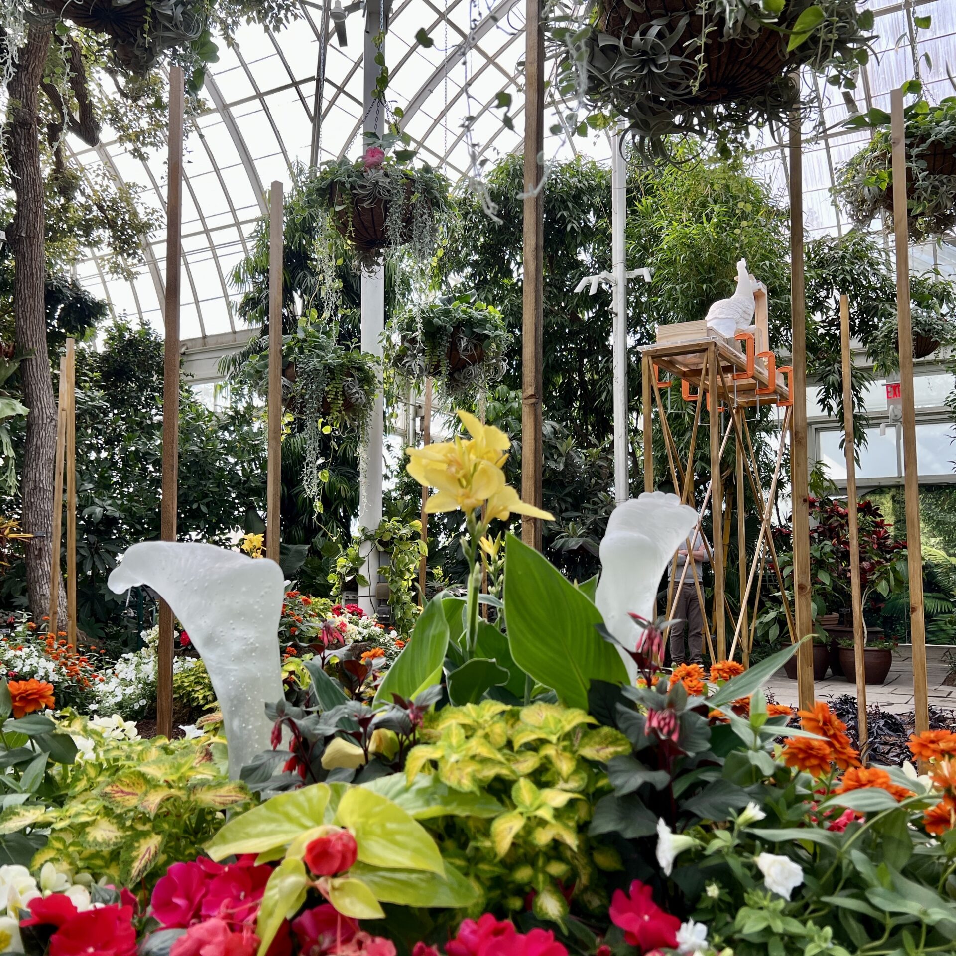 Exhibition Guide | New York Botanical Garden