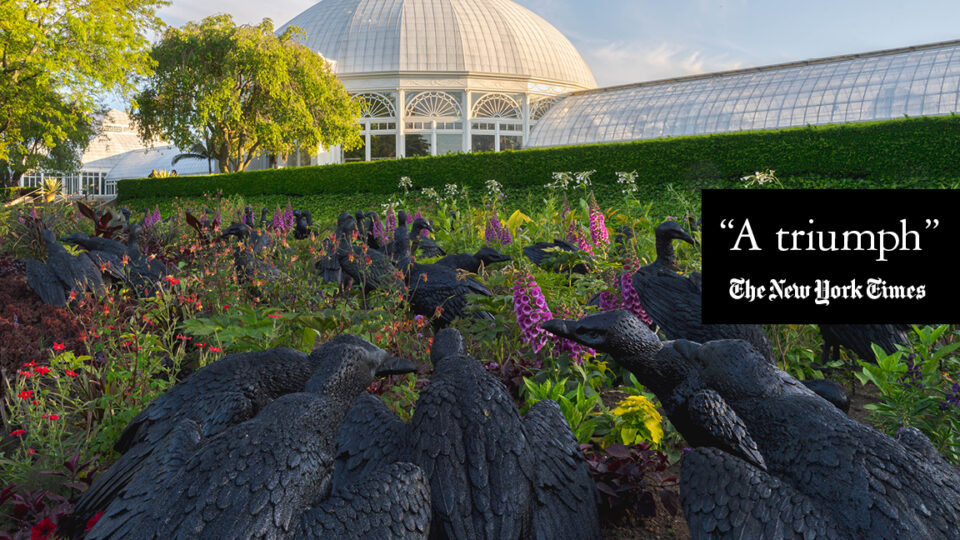 Home » New York Botanical Garden