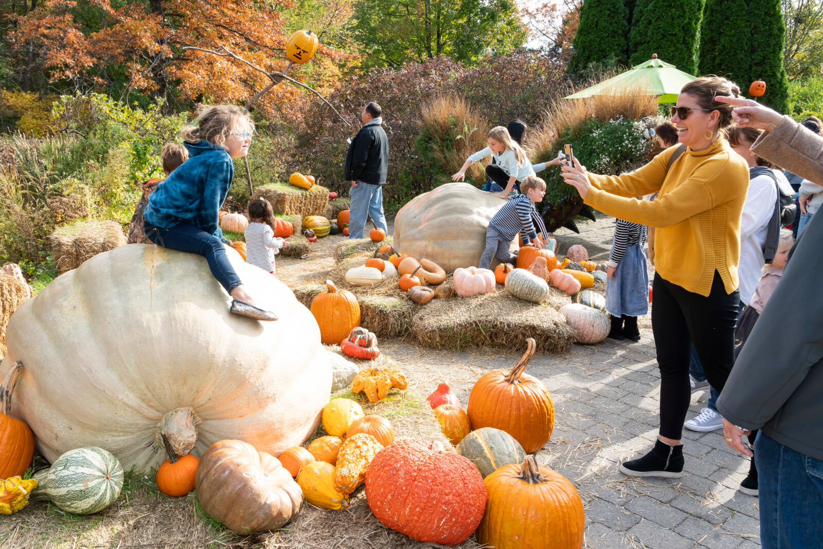 Giant Pumpkin Carving | New York Botanical Garden