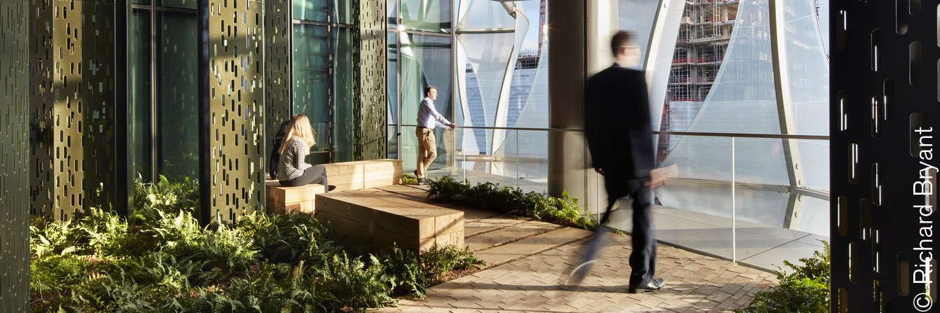 Nature Remixed: Reimagining Community and Biodiversity in Cities with ...