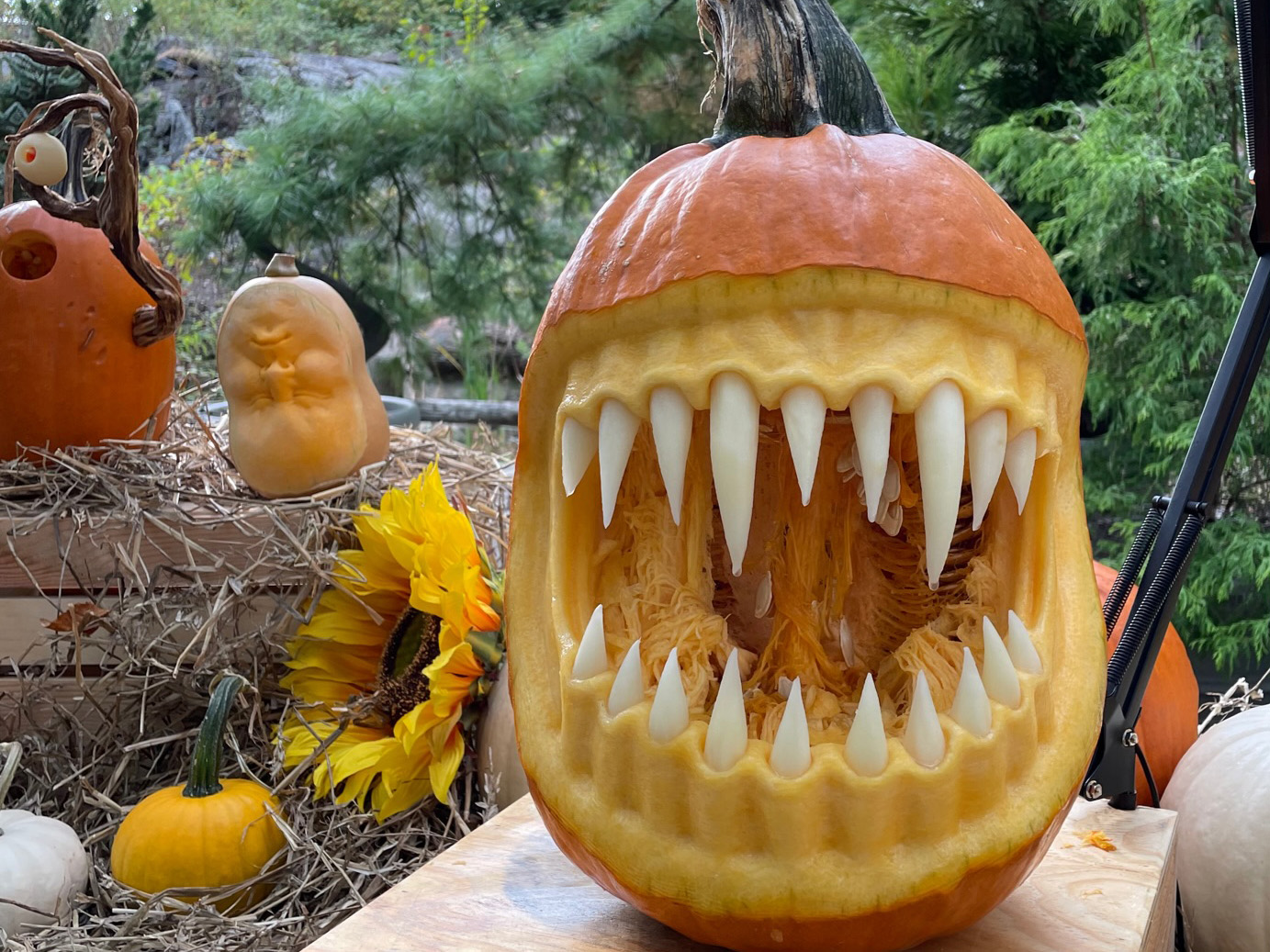 Pumpkin Carving with Adam Bierton | New York Botanical Garden