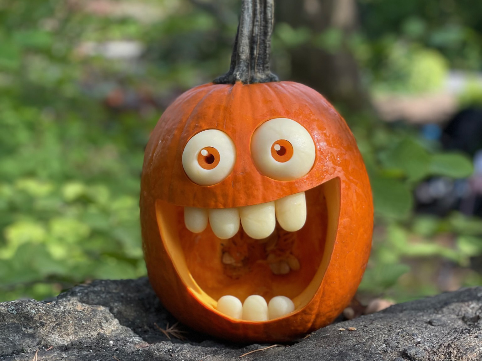 Pumpkin Carving with Adam Bierton | New York Botanical Garden