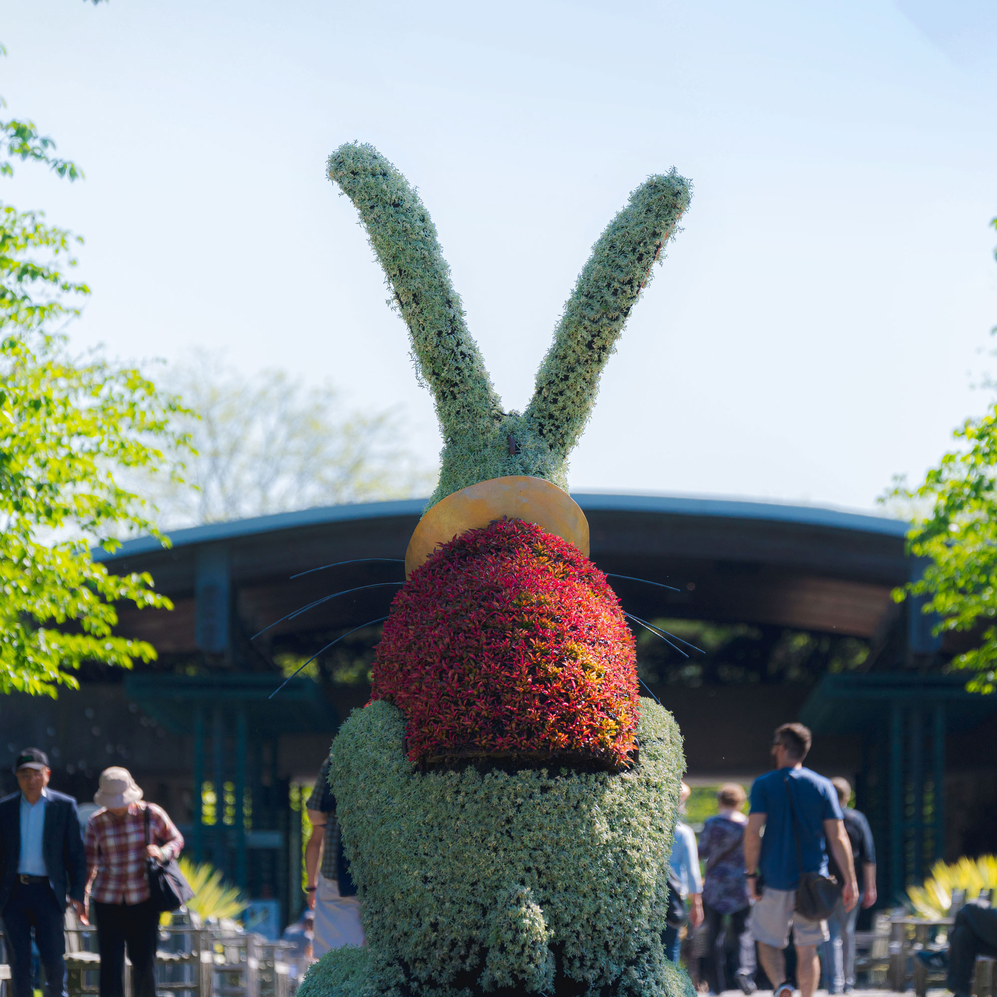 Wonderland: Curious Nature | New York Botanical Garden