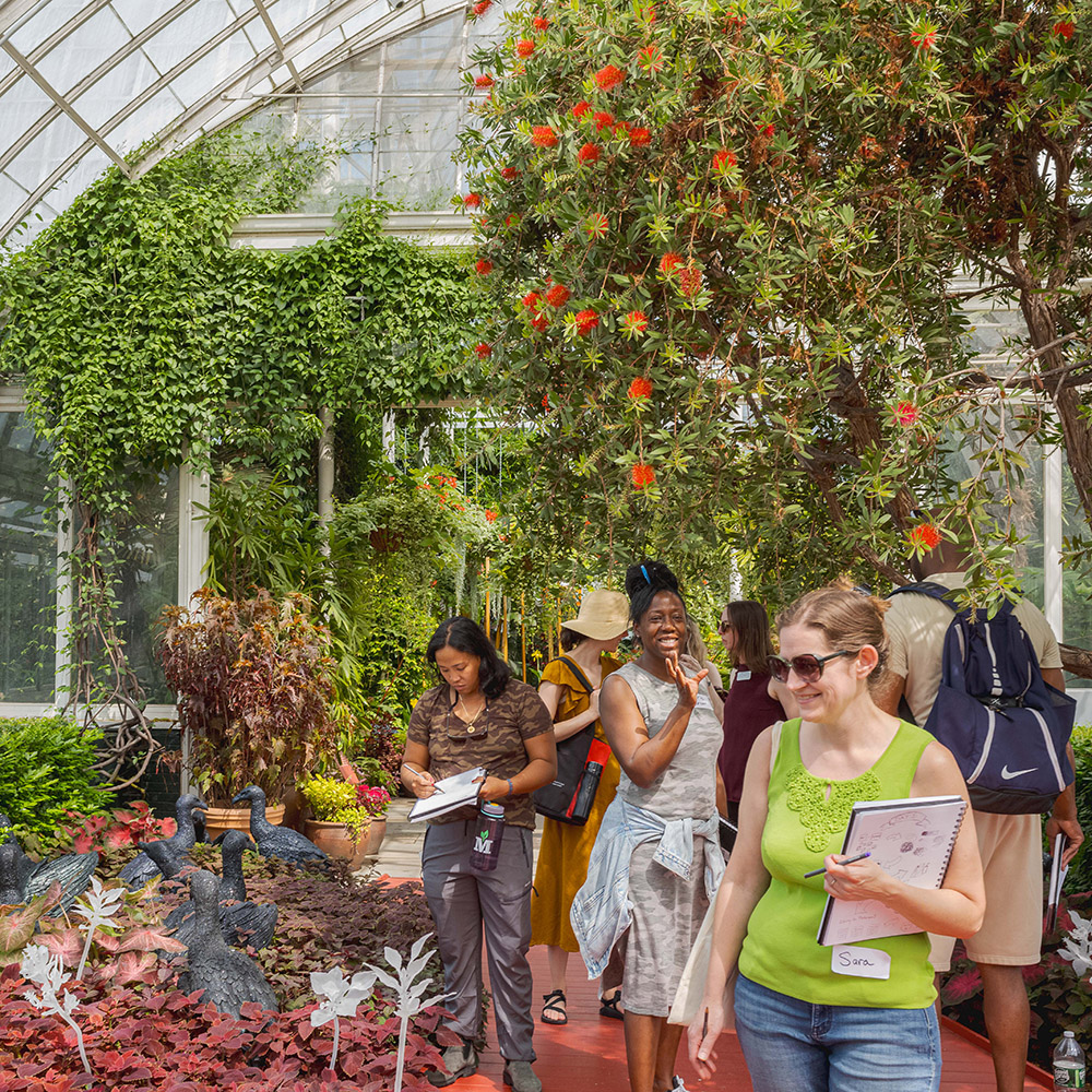 Children's Education | New York Botanical Garden