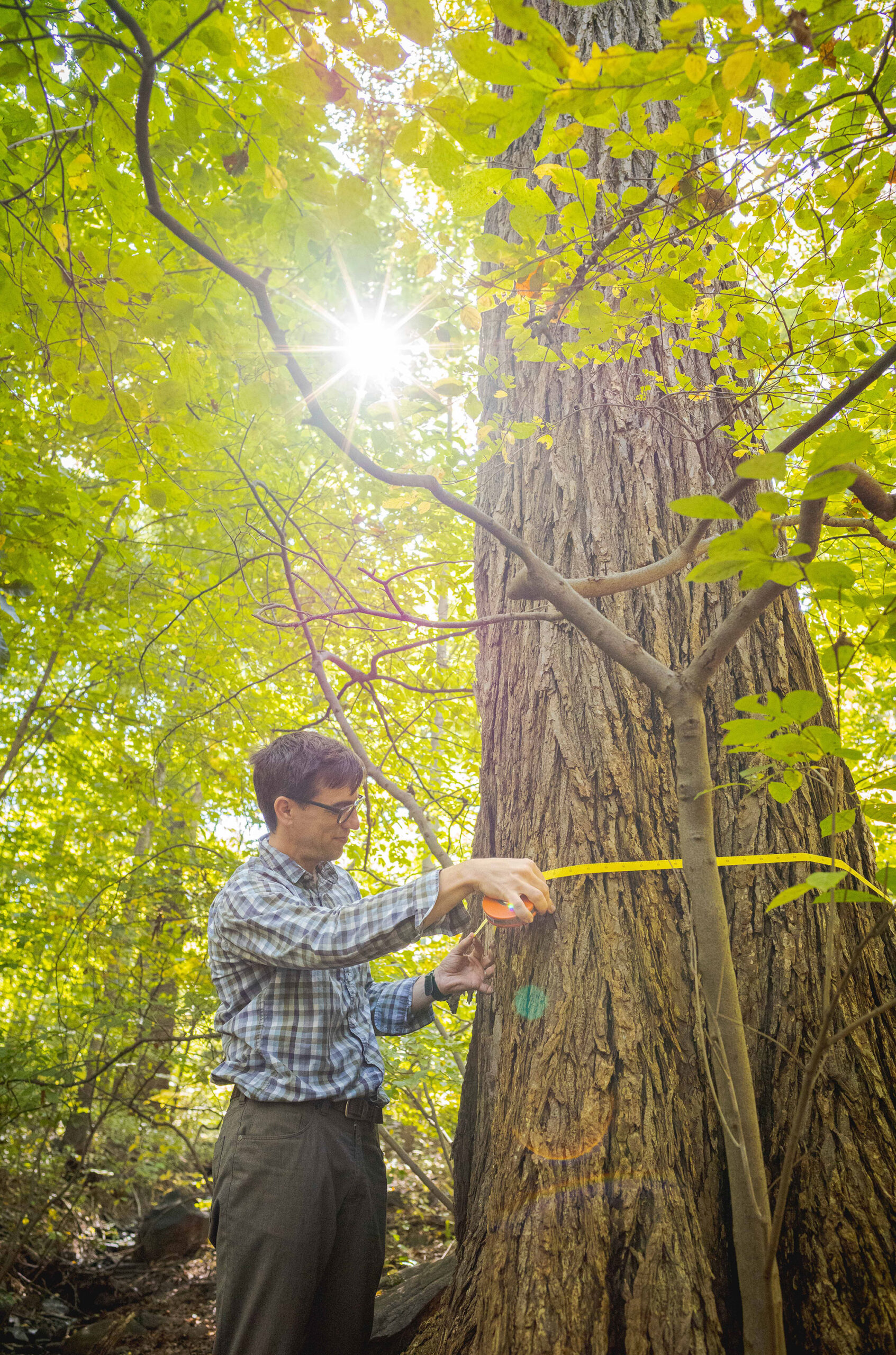 Brad Oberle: Plant Lover, Tree Hugger, and NYBG Scientist | New York ...