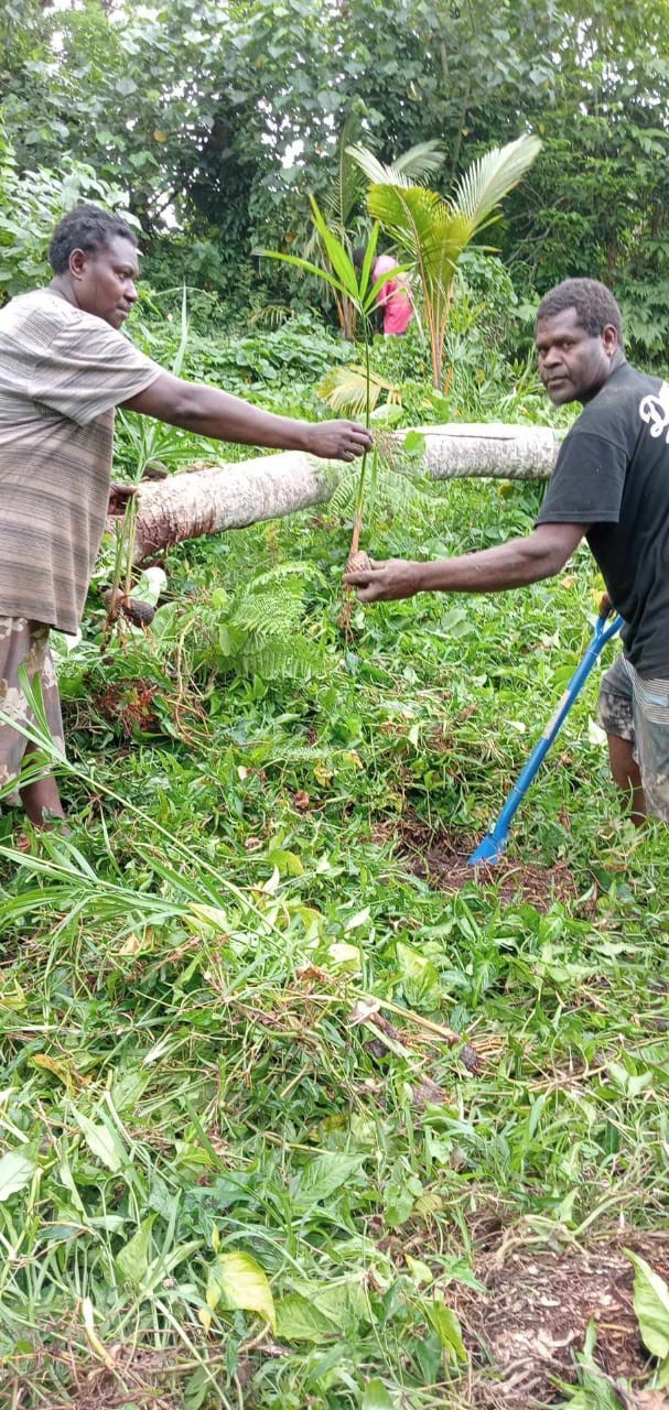 Conserving Indigenous Solutions to Climate Change in Southern Vanuatu ...