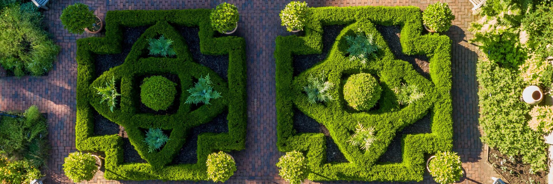 Black Botanists Tour | New York Botanical Garden