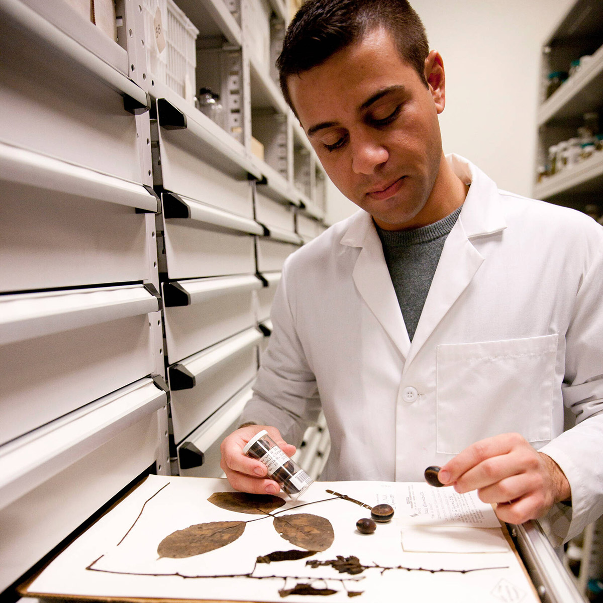 Plant Science Research Laboratory Collections | New York Botanical Garden