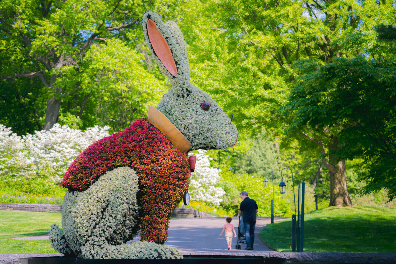 Exhibition Highlights | New York Botanical Garden
