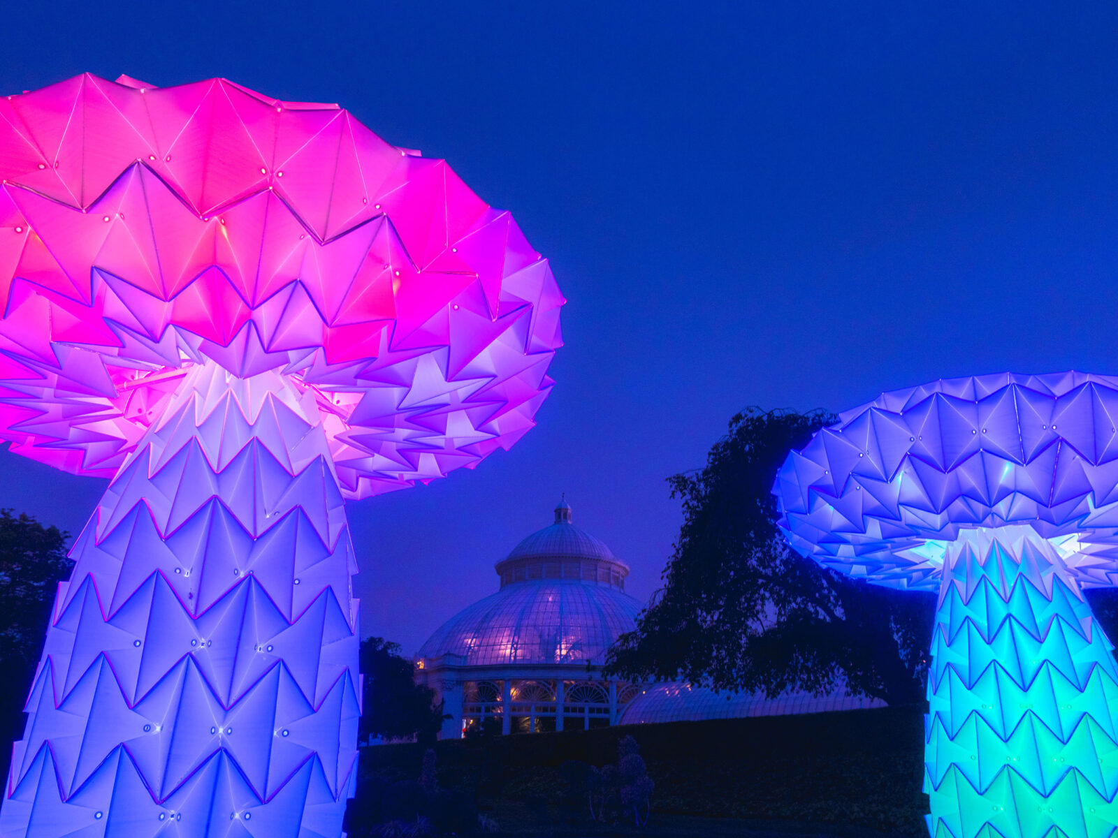 Exhibition Highlights | New York Botanical Garden