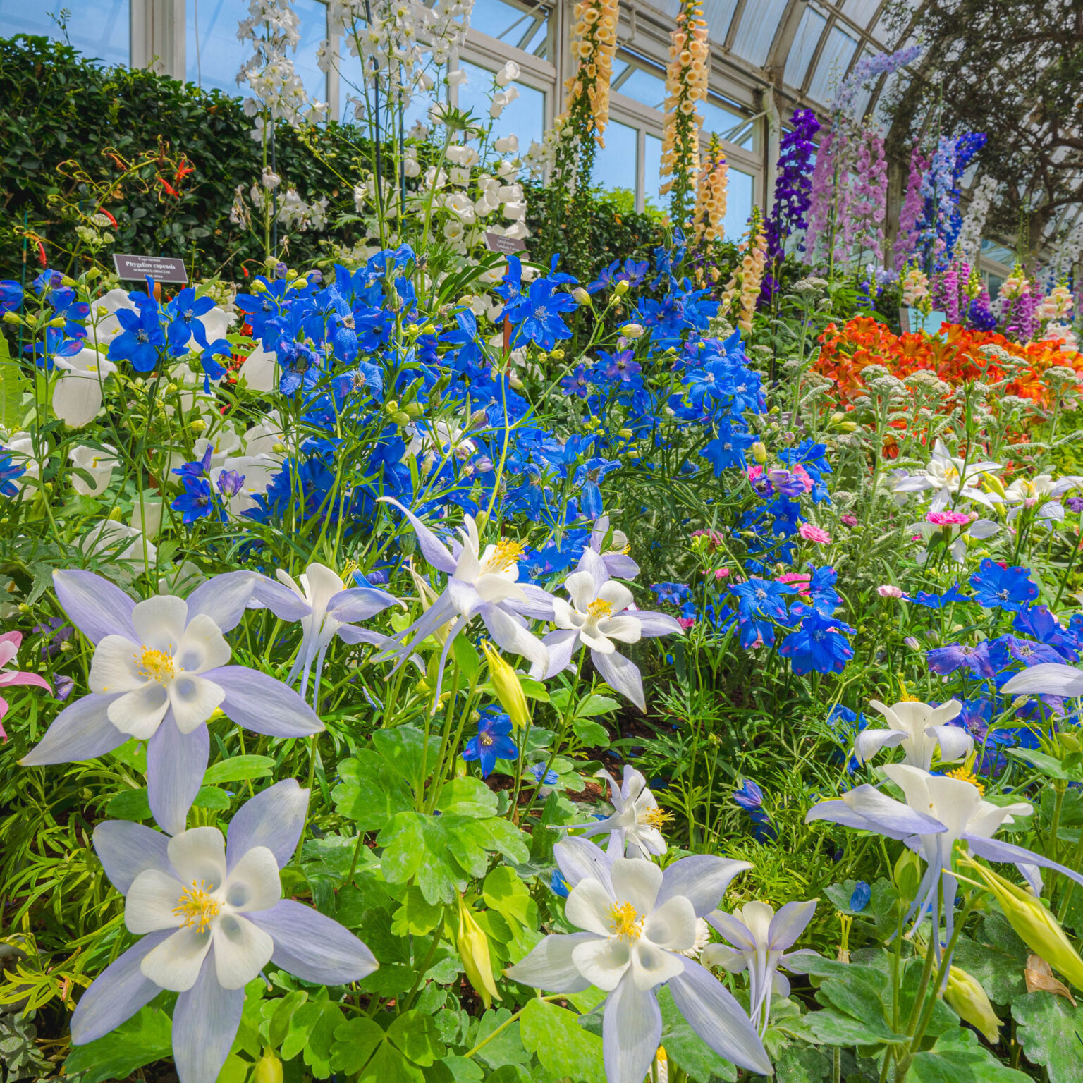 Exhibition Highlights | New York Botanical Garden