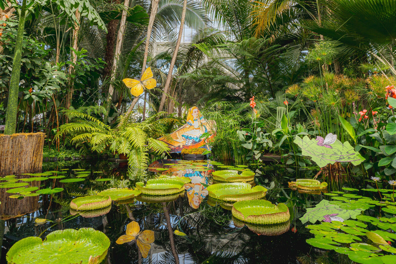 Exhibition Highlights | New York Botanical Garden