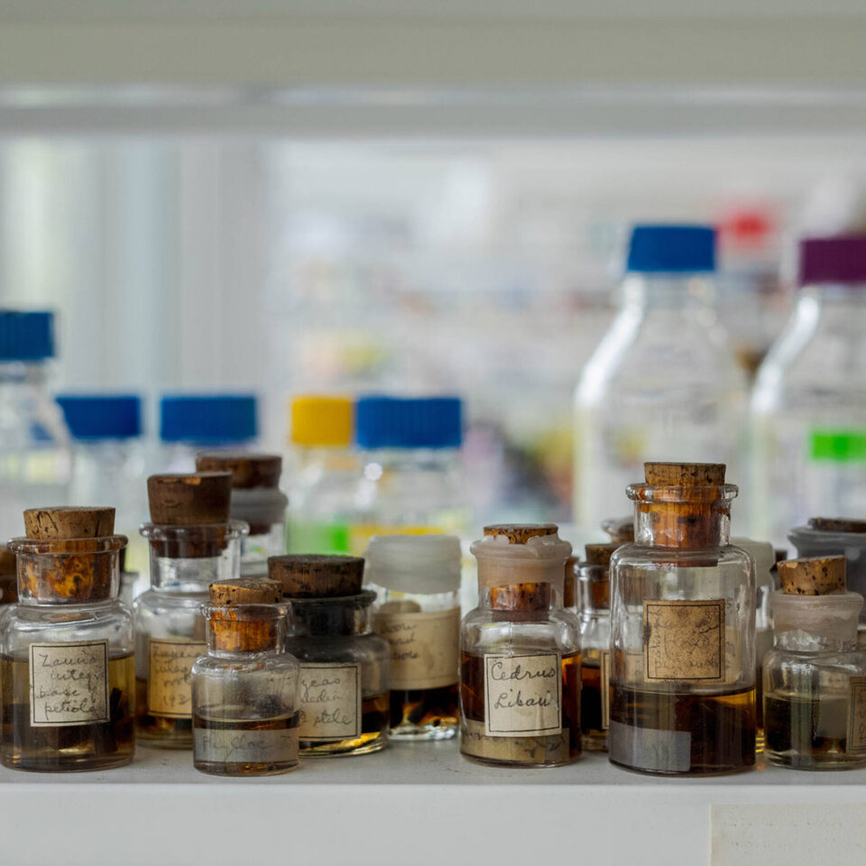 Plant Science Research Laboratory Collections | New York Botanical Garden
