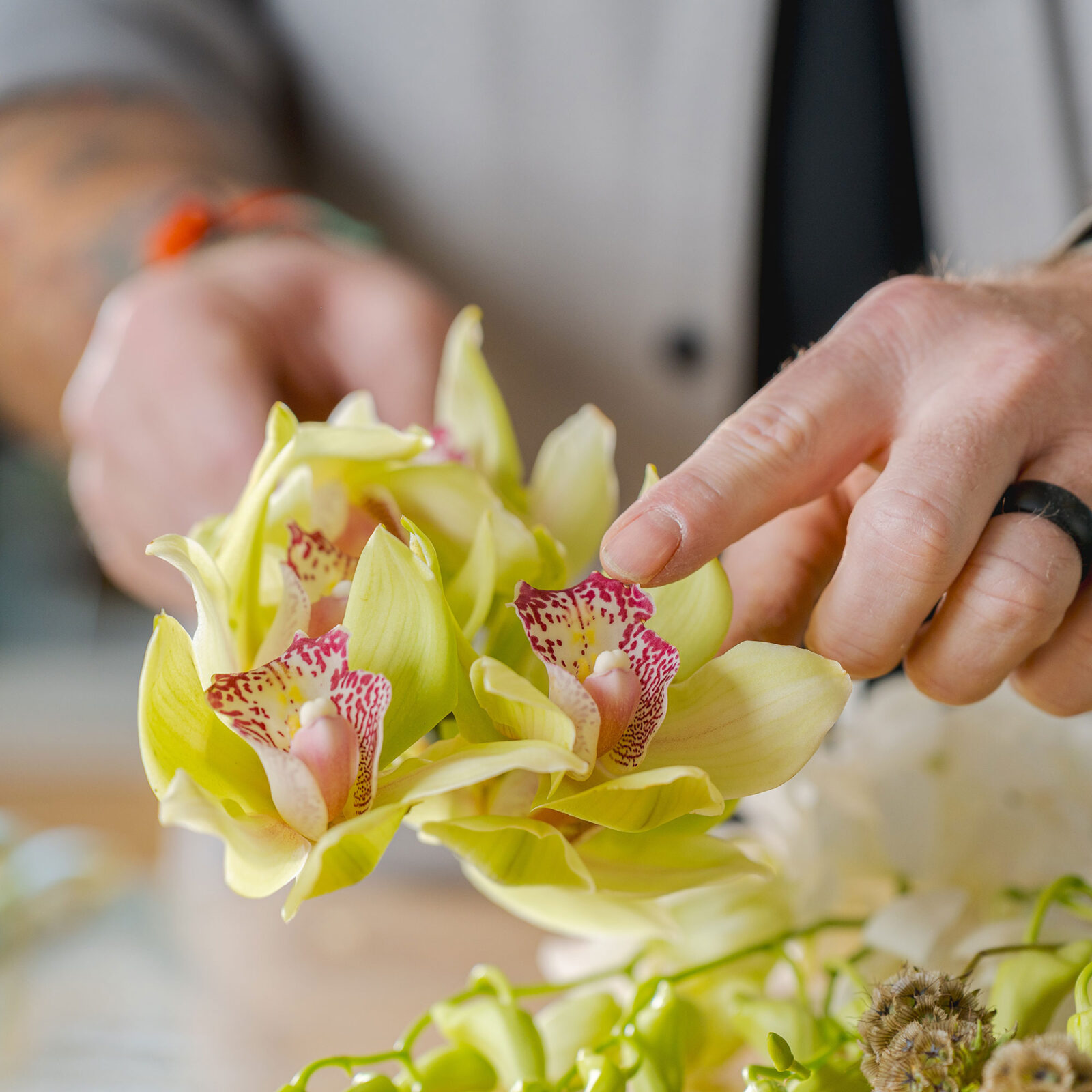 Orchid Classes | New York Botanical Garden