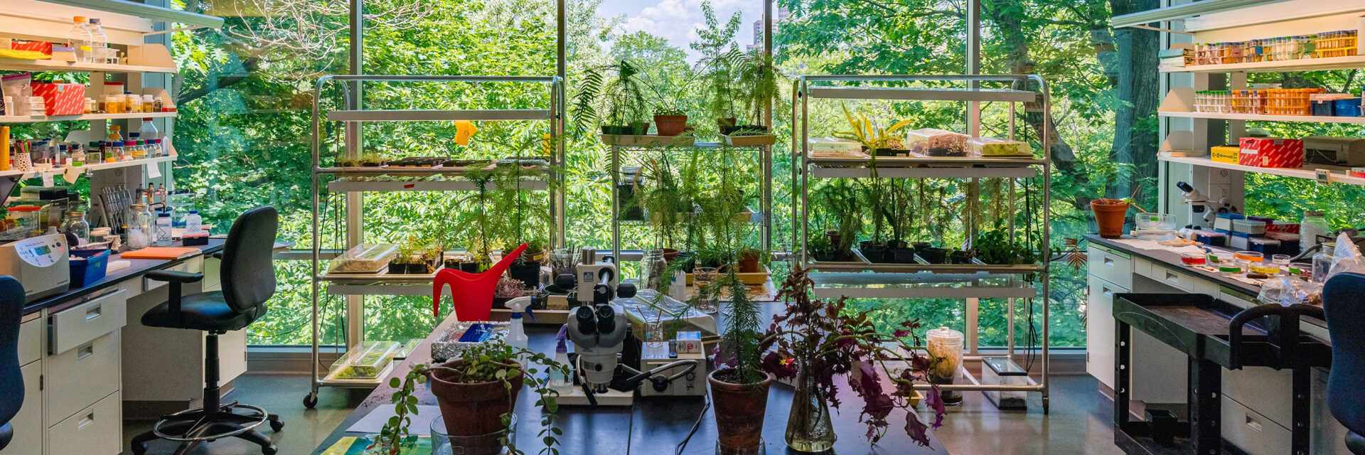 Plant Science Course at Plant Studio