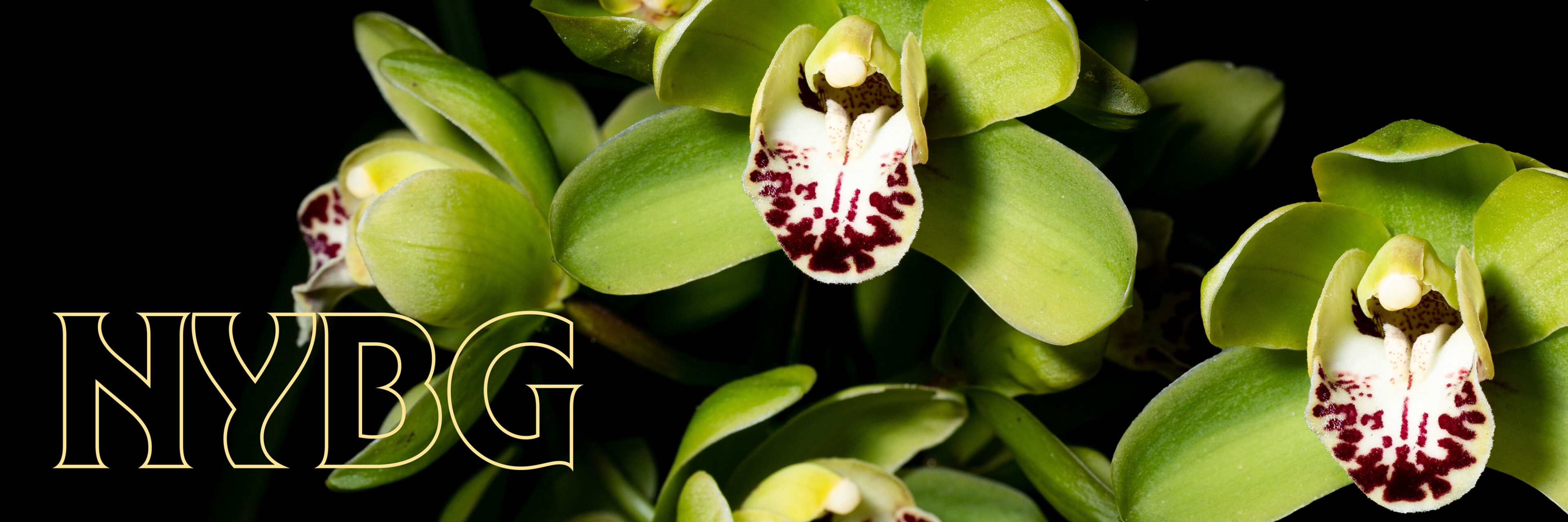 Science Programs & Departments | New York Botanical Garden
