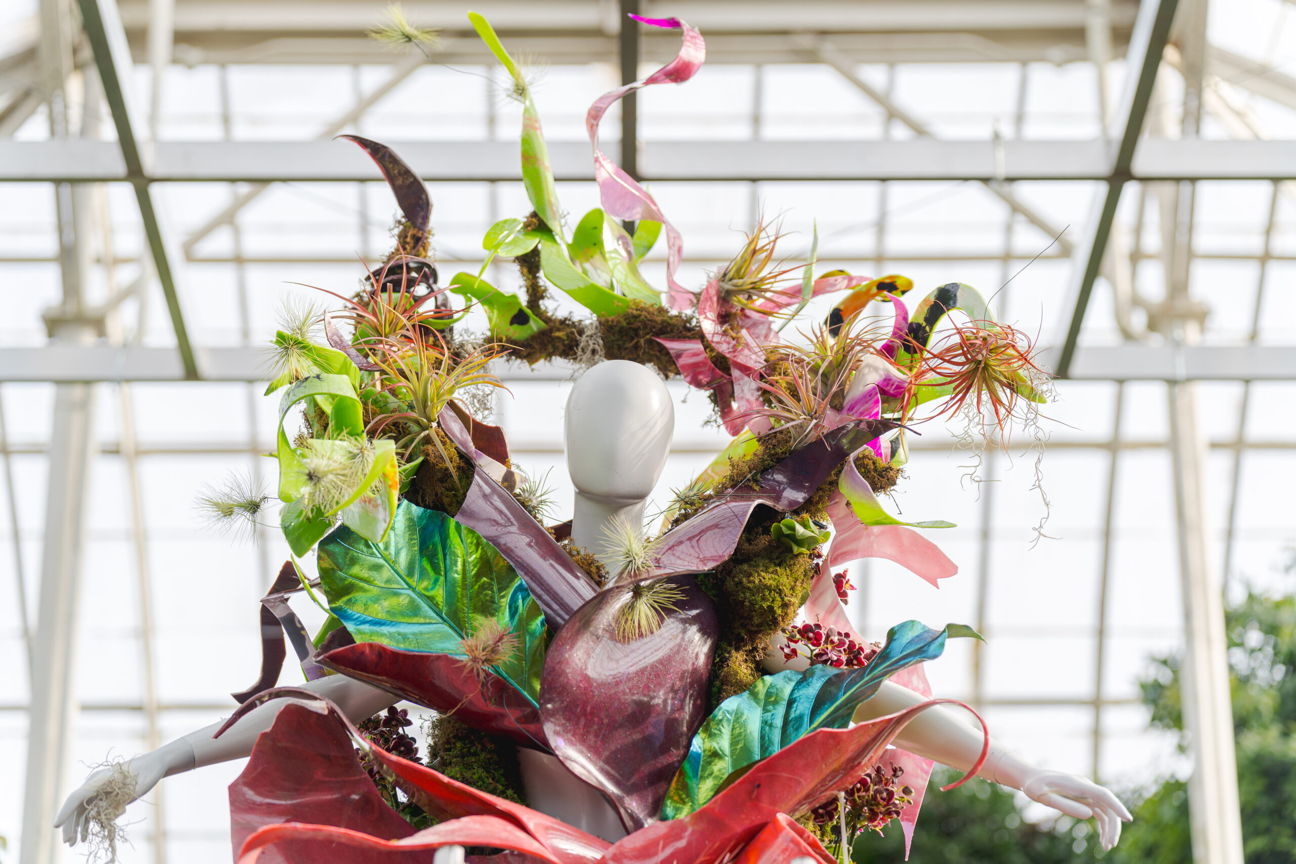 The Orchid Show Press Room | New York Botanical Garden