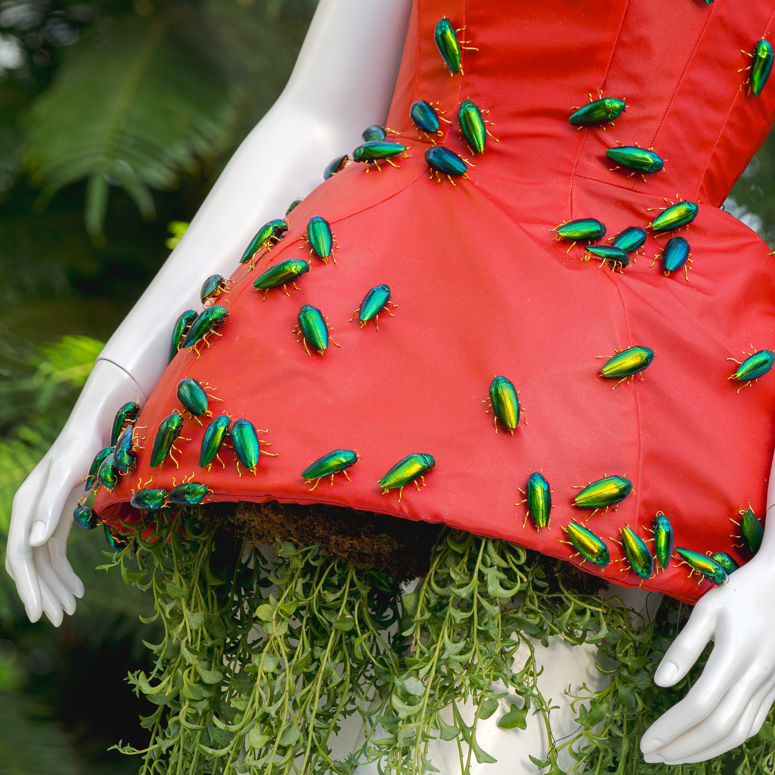 The Orchid Show Press Room | New York Botanical Garden