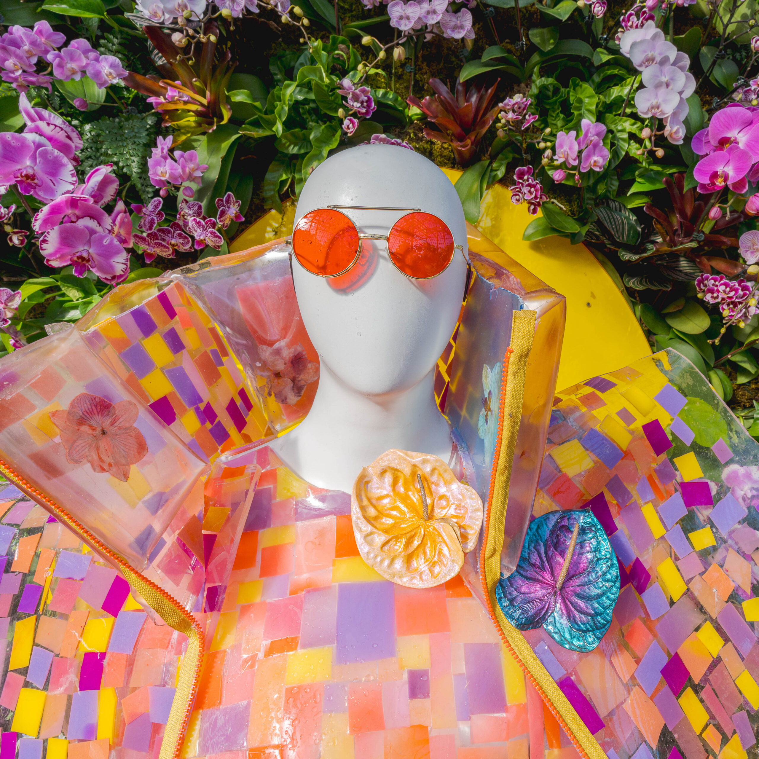 The Orchid Show Press Room | New York Botanical Garden