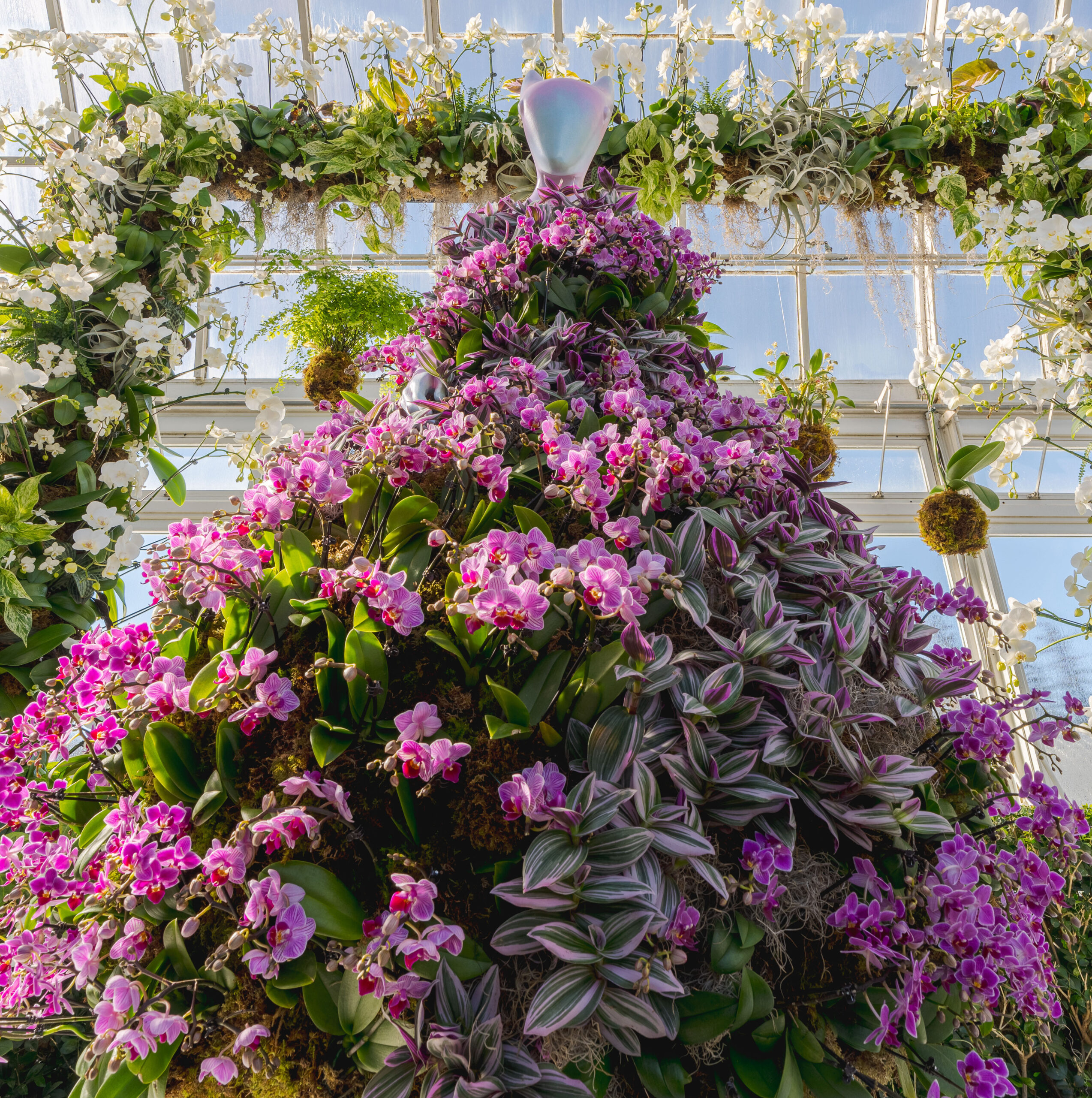 Press Room | New York Botanical Garden