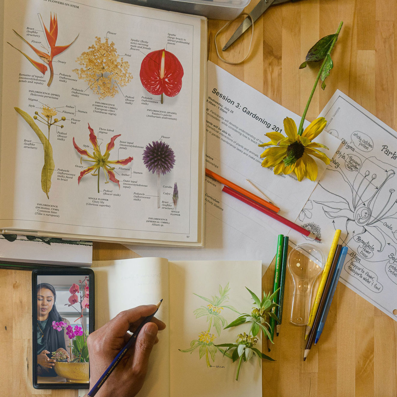 Continuing Education | New York Botanical Garden