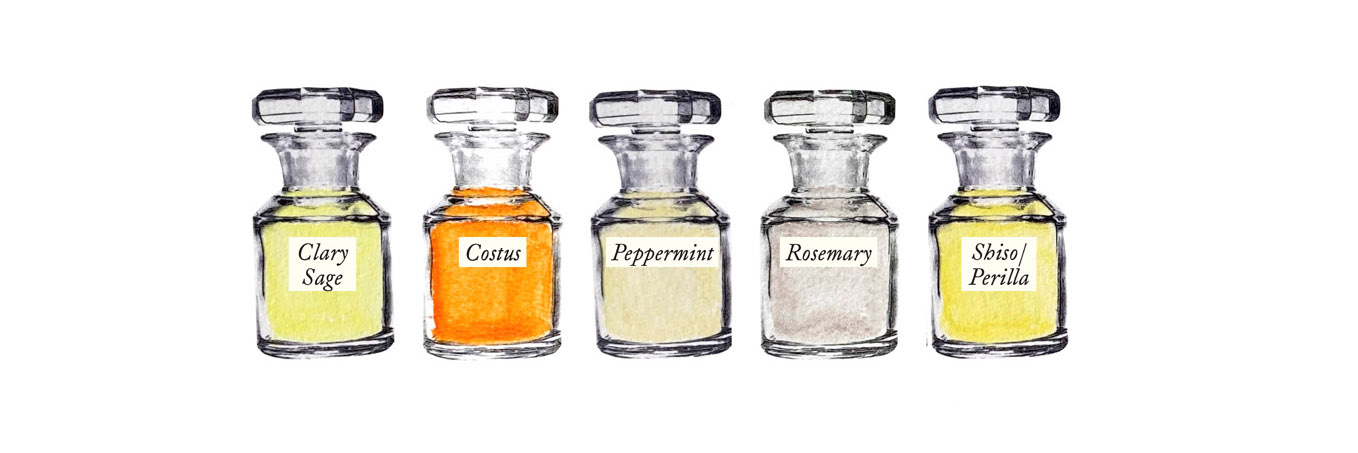 The Museum of Scent with Mandy Aftel | New York Botanical Garden