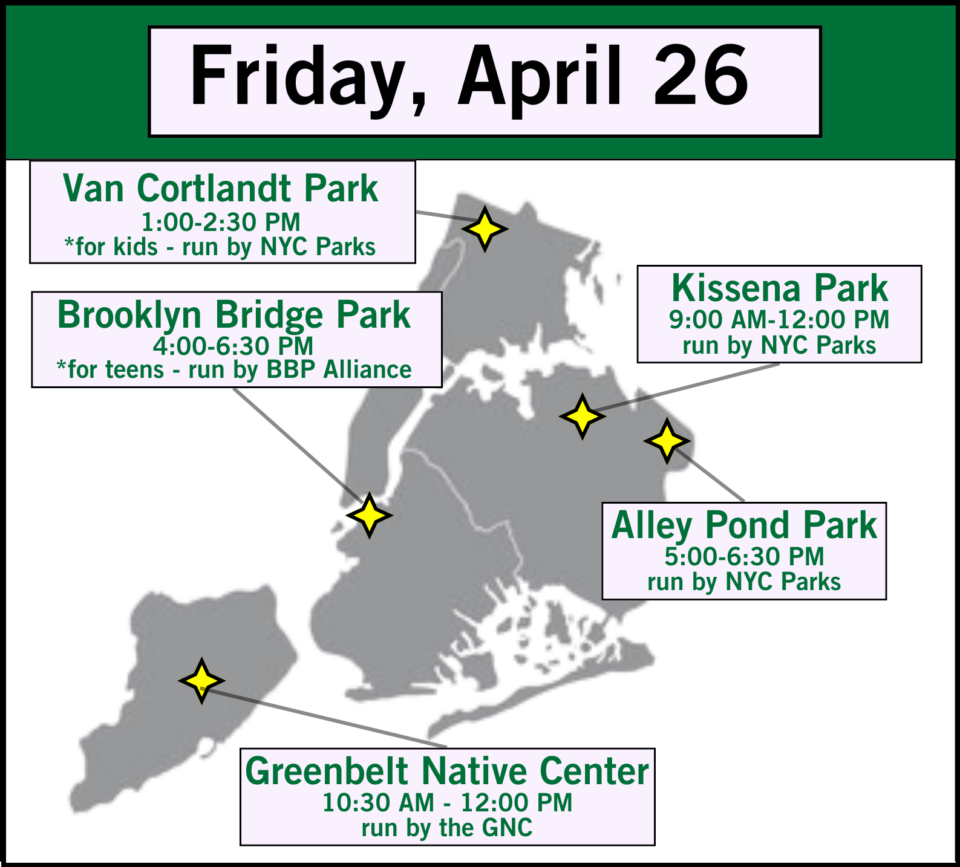 City Nature Challenge 2024 | New York Botanical Garden