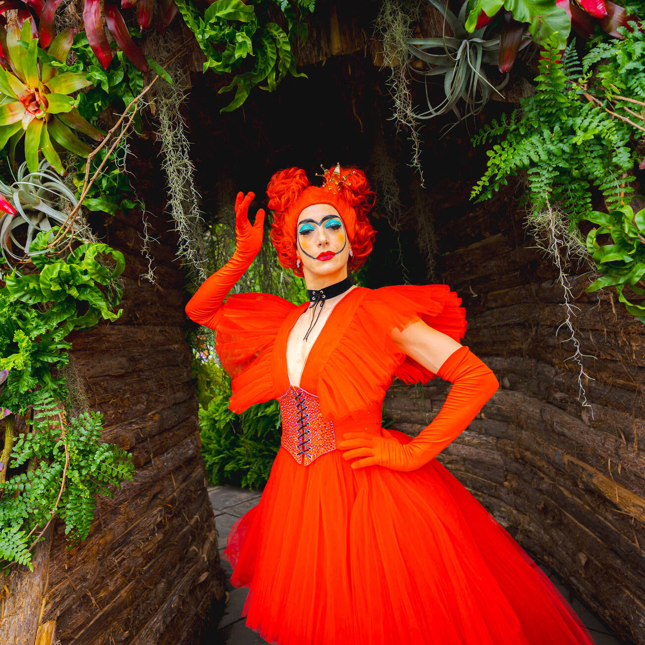 Wonderland: Curious Nature Programs | New York Botanical Garden