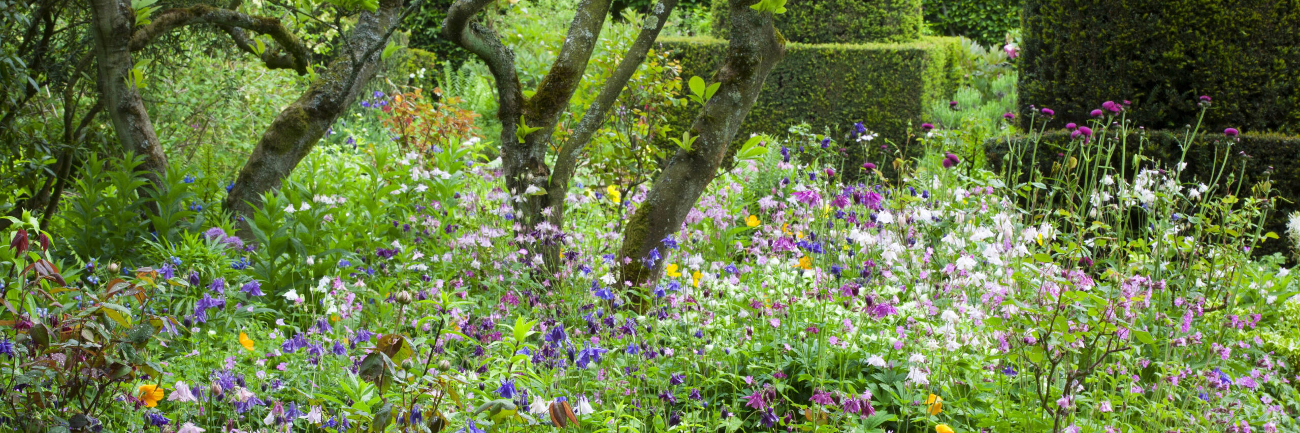 Wonderland: Curious Nature Symposium | New York Botanical Garden