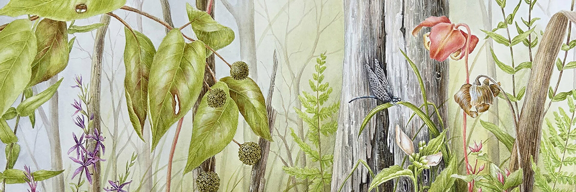 Curious Allies: Exploring Relationships in Fungi, Parasites ...