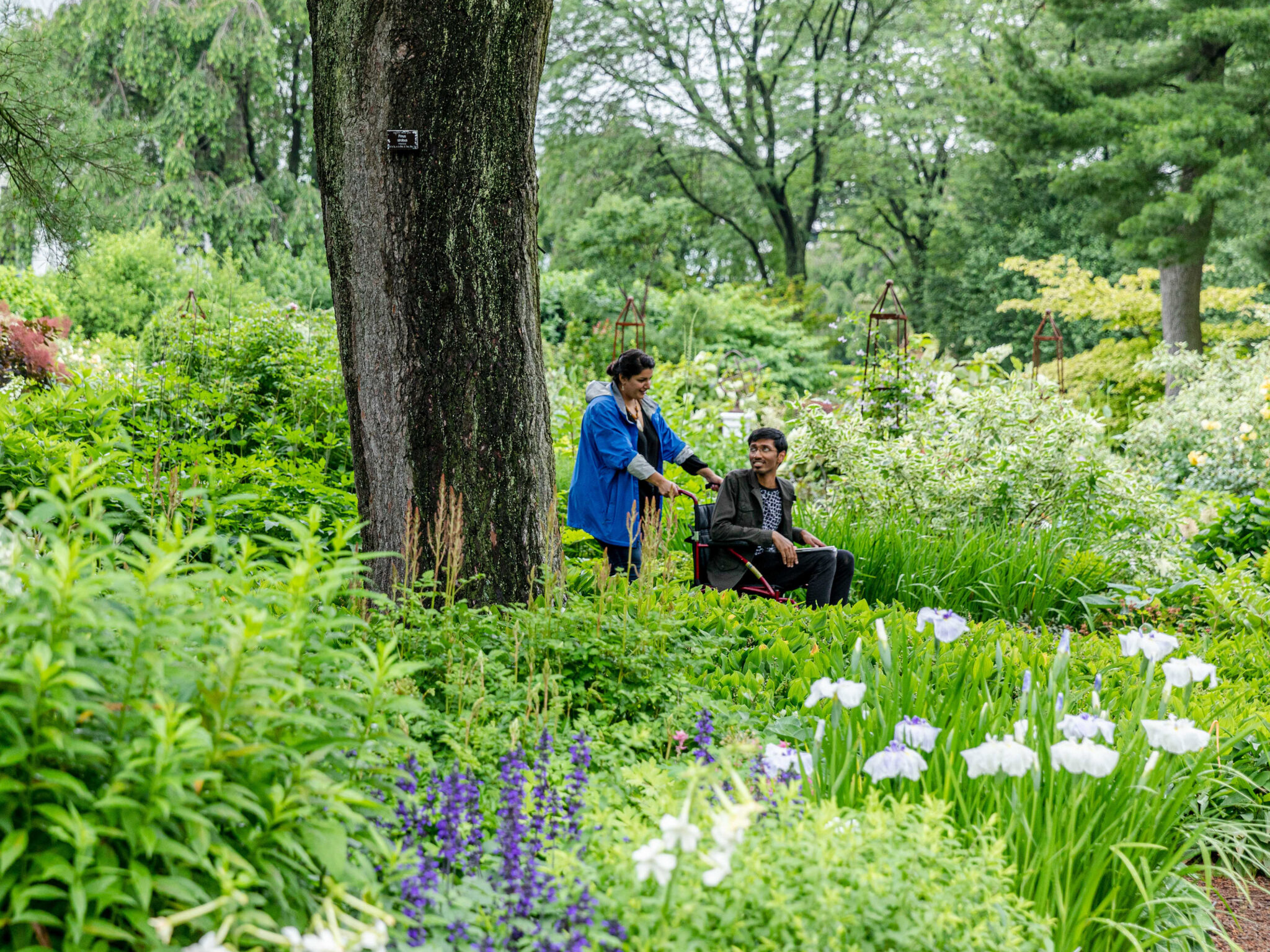 New York Botanical Garden