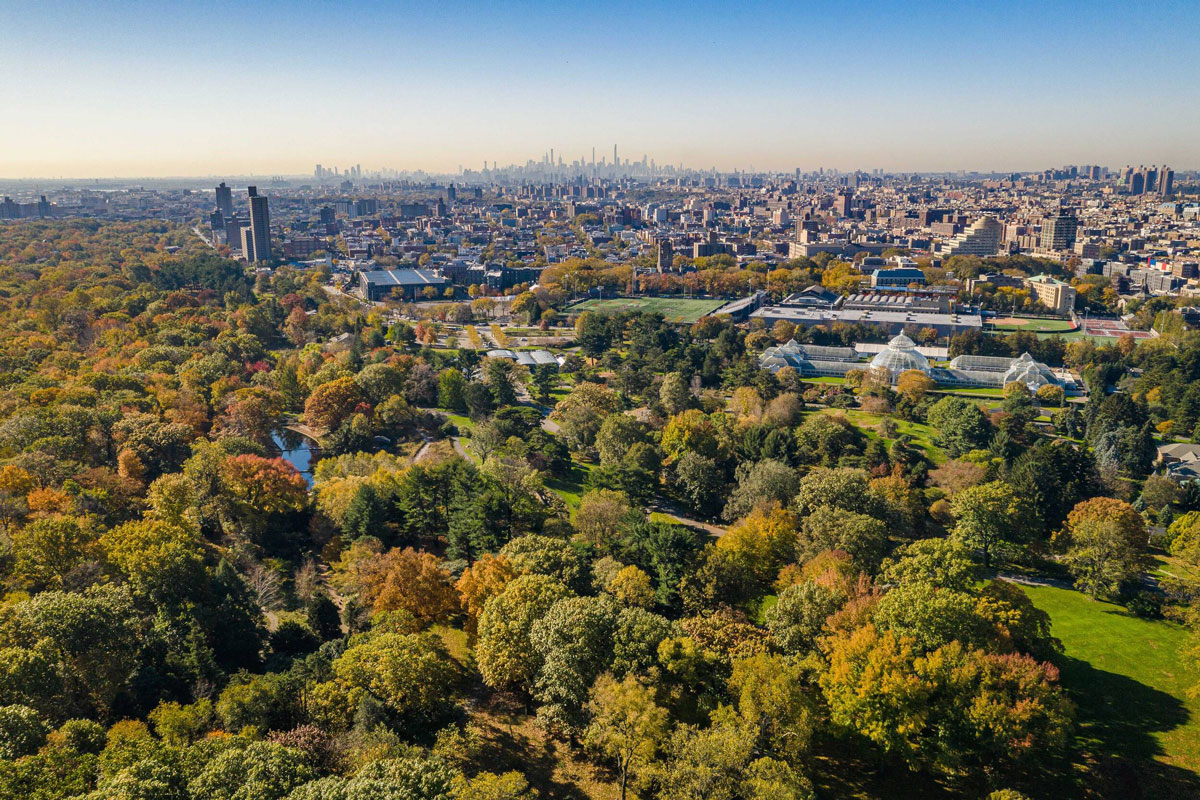 How Soil Can Help Us Understand the Future of Forests | New York ...