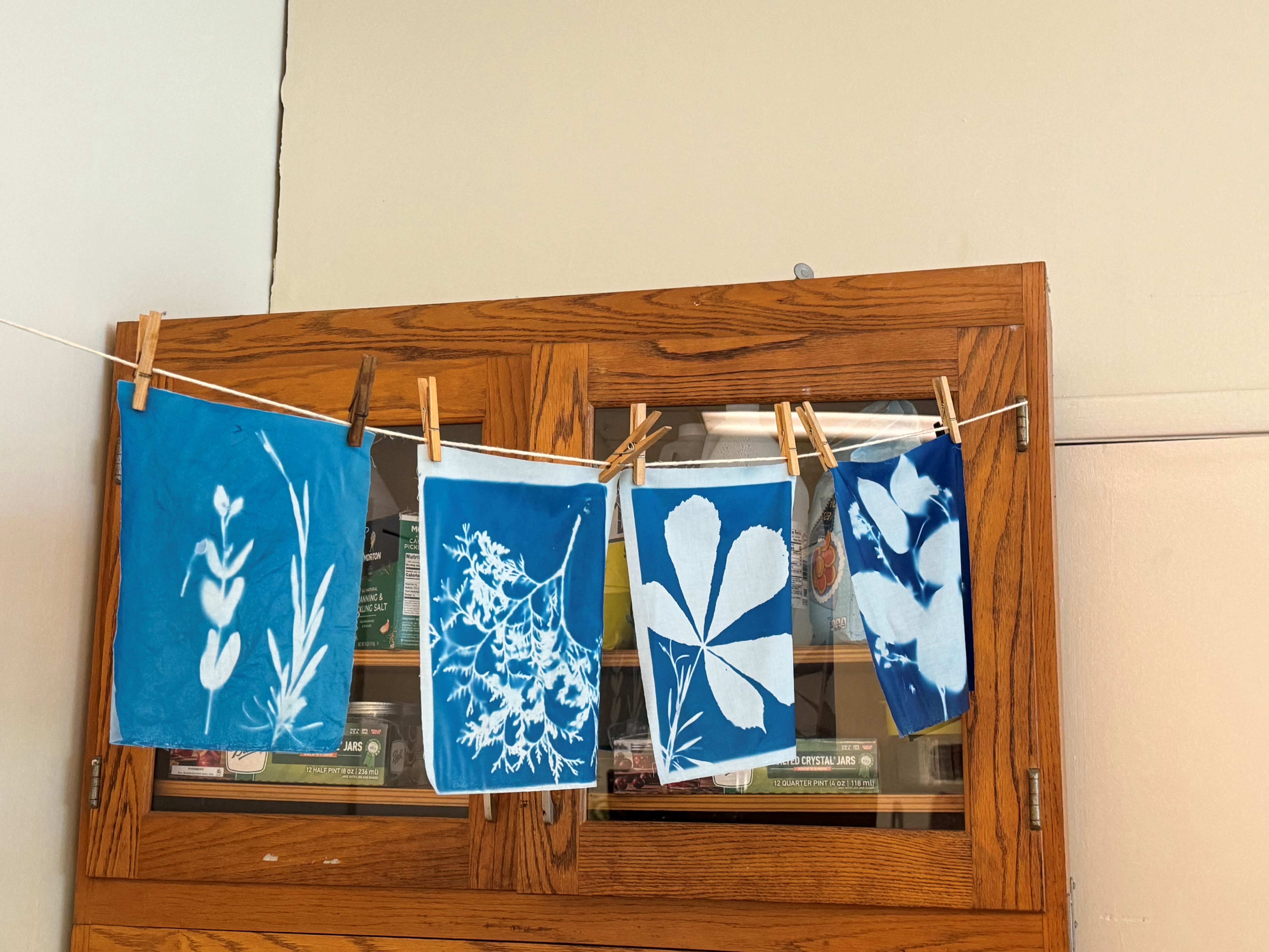 The Art and Science of Cyanotype: Making Sun Prints with Plants | New ...