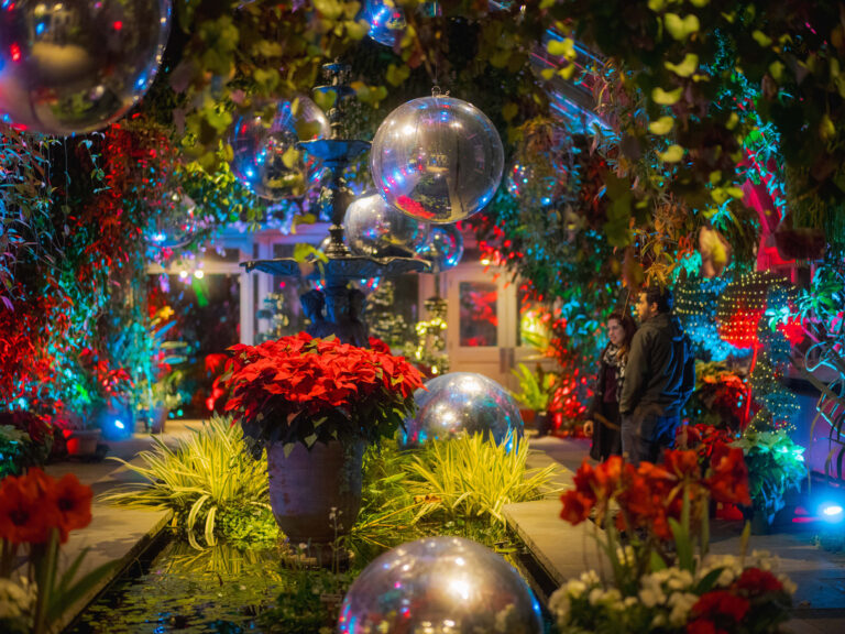 New York Botanical Garden