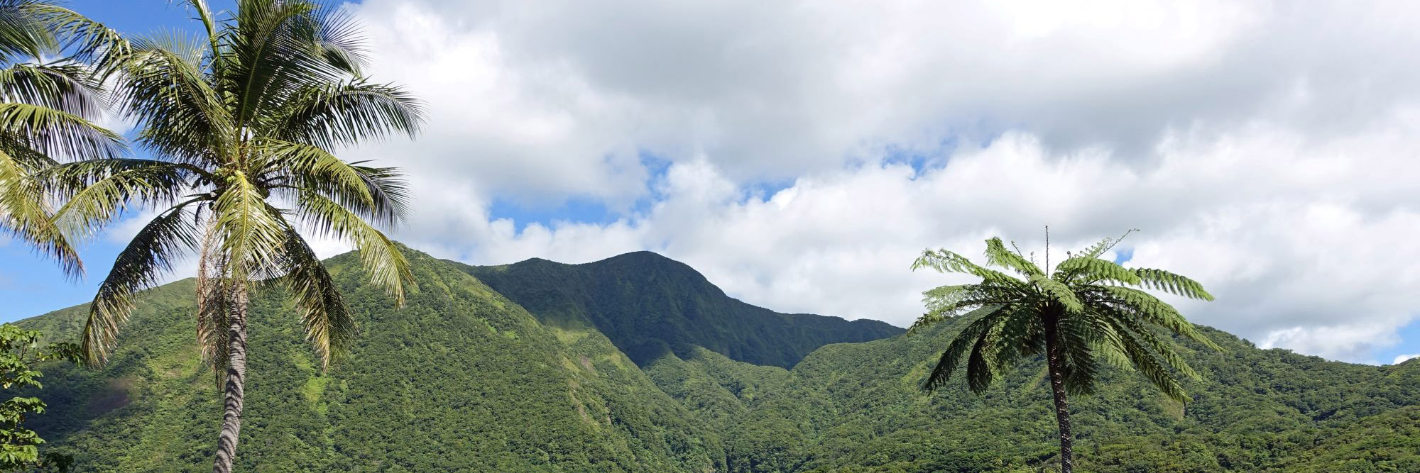 The Traveler: George Forster's Quest for Shared Humanity | New York ...
