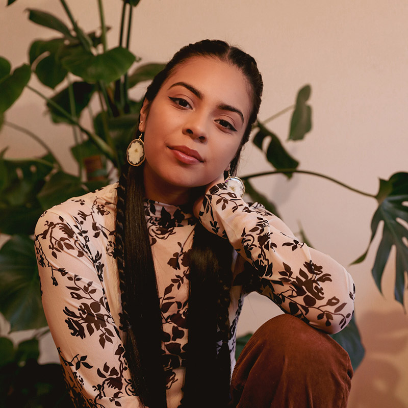 Orchid Nights | New York Botanical Garden