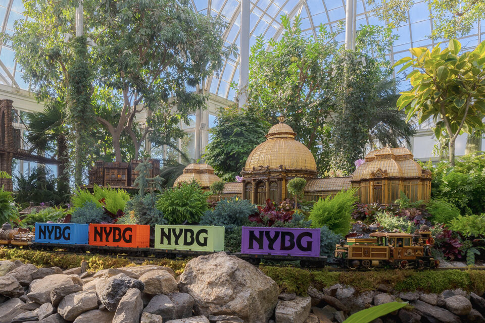 Reflecting on an Exciting Year at NYBG | New York Botanical Garden