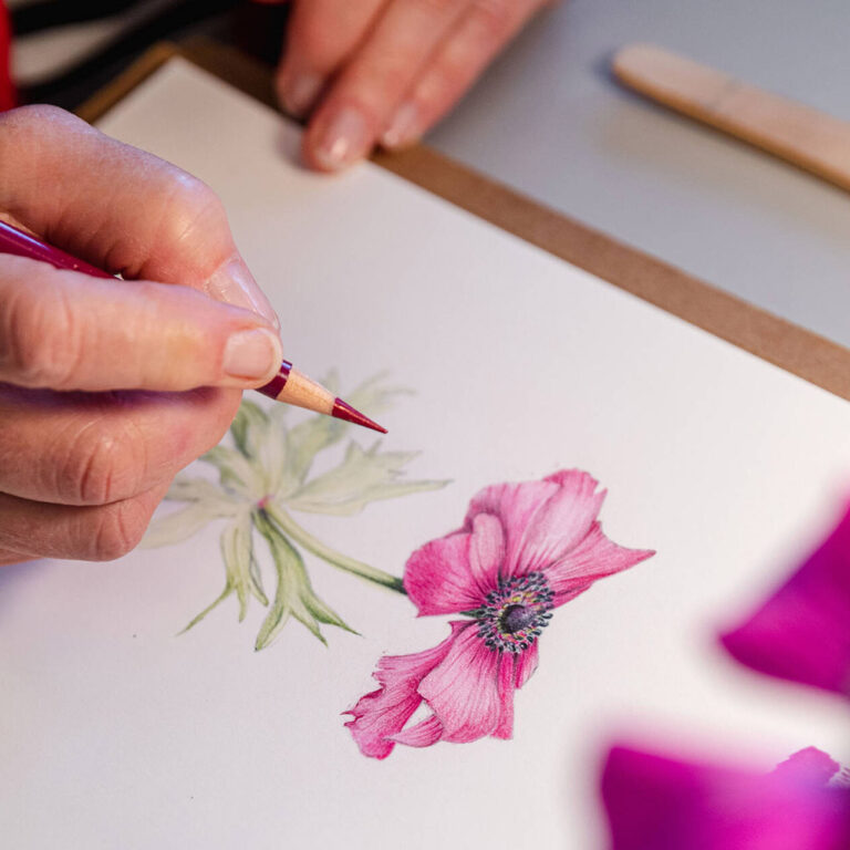 Classes by Subject | New York Botanical Garden