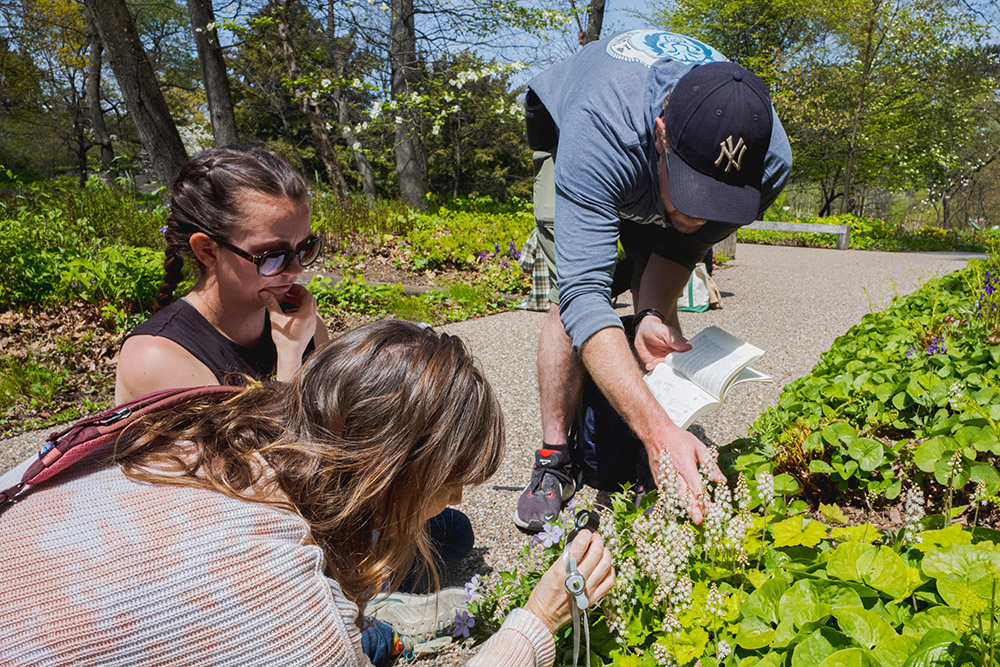 Classes by Subject | New York Botanical Garden
