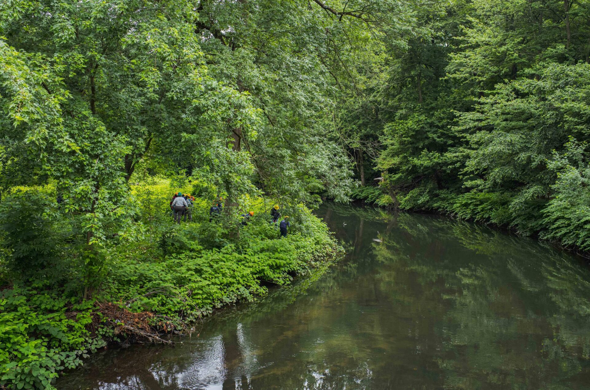NYBG Joins Efforts to Protect the Bronx River Watershed | New York ...