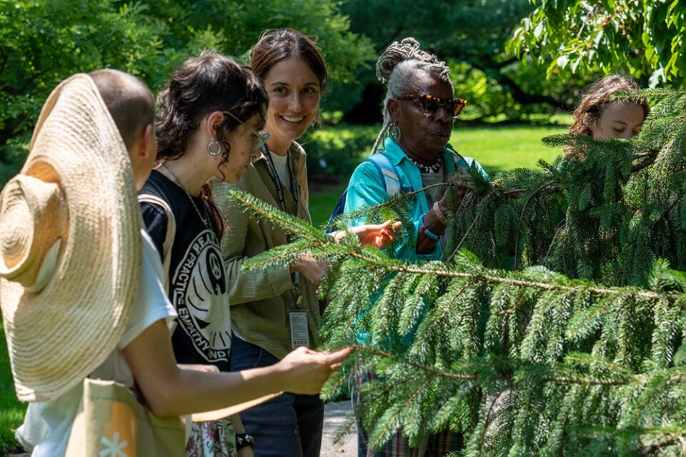 Classes by Subject | New York Botanical Garden