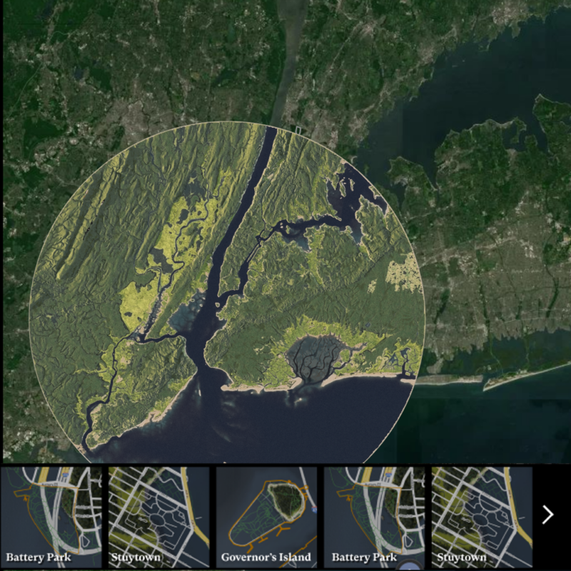 Plant Diversity: The Root of Biodiversity and Climate Resilience | New ...